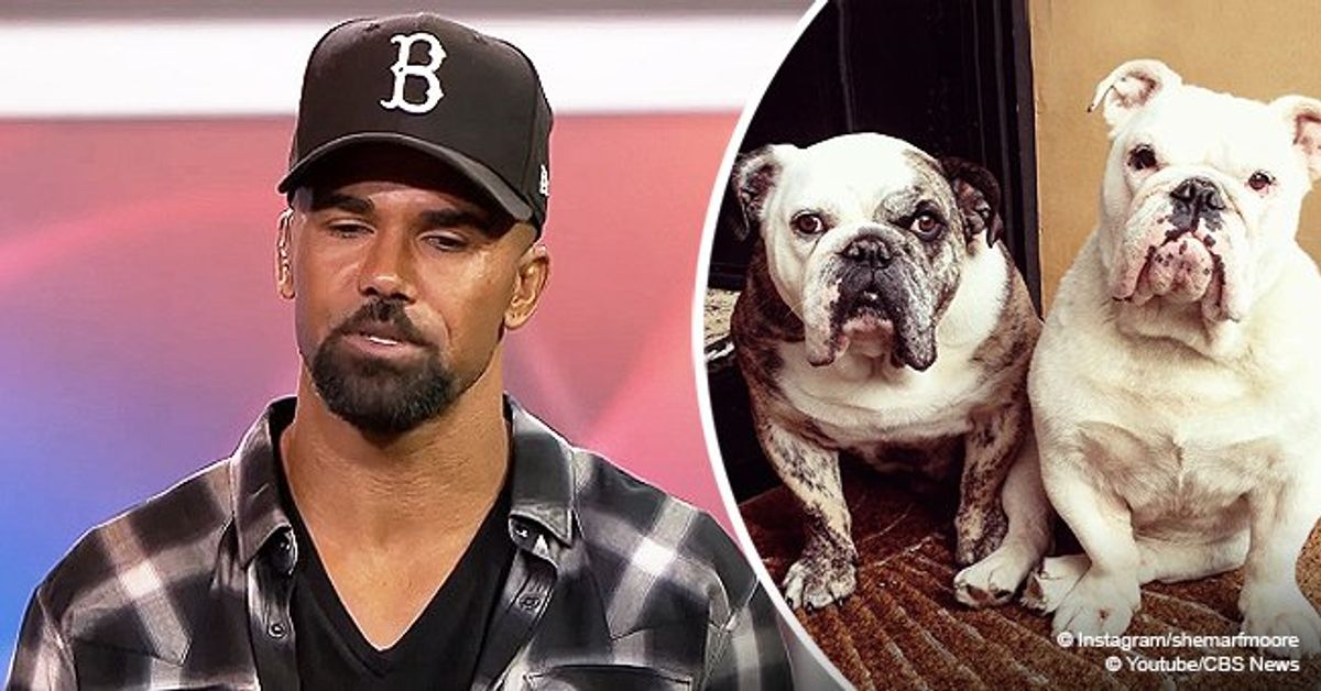 Shemar Moore révèle ses "chagrins" tandis qu'il pleure la perte de ses ...