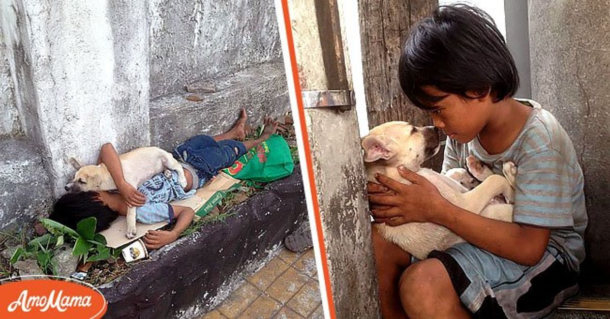 Un SDF adopte un chien et leur amitié est capturée par un passant sur ...