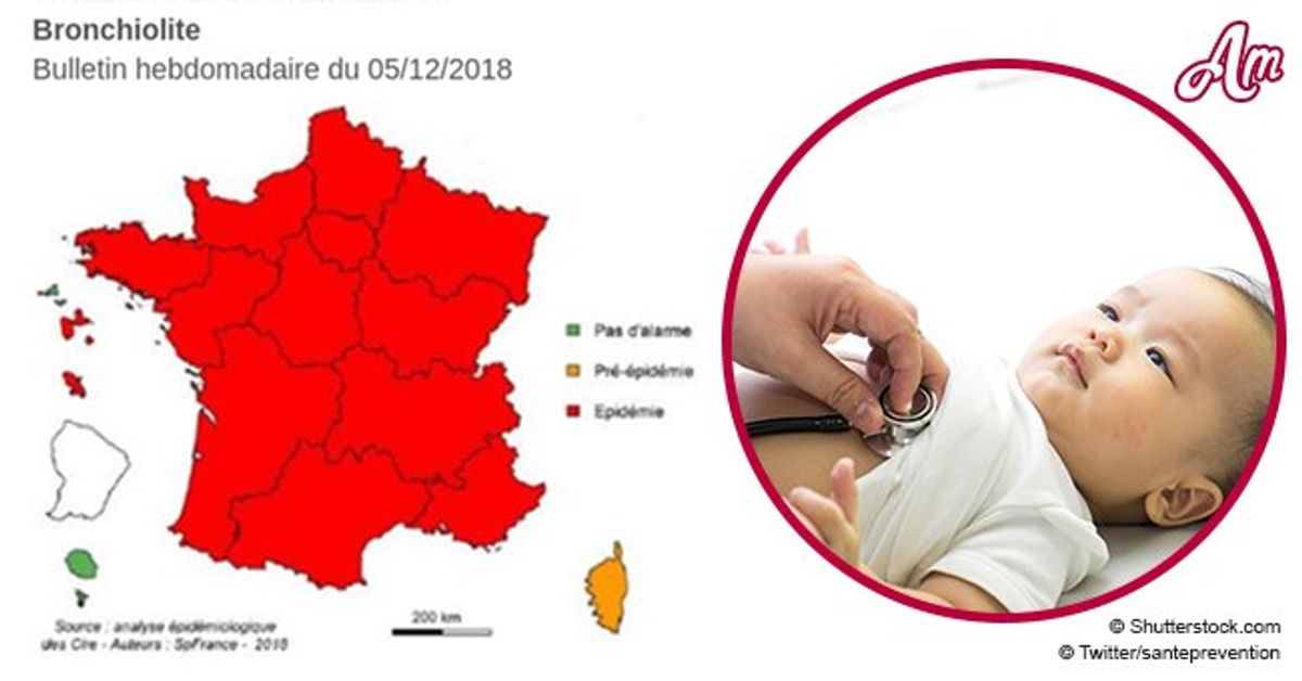 Tous les départements de France, excepté la Corse, subissent une ...