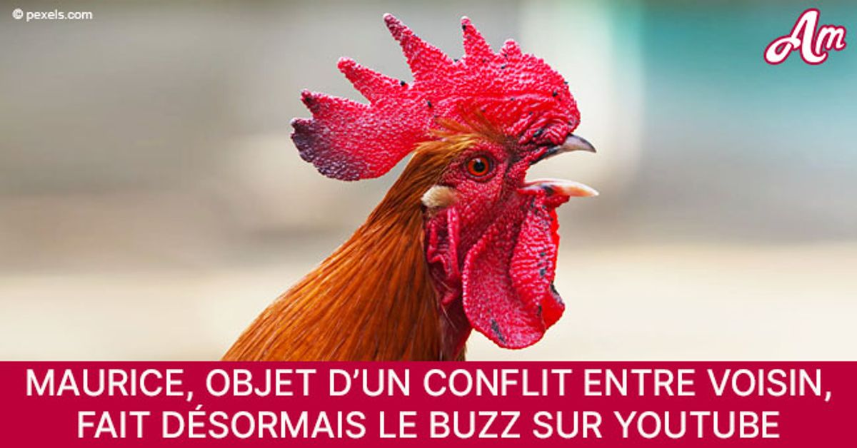 Un chant spécial pour soutenir le coq Maurice à son procès